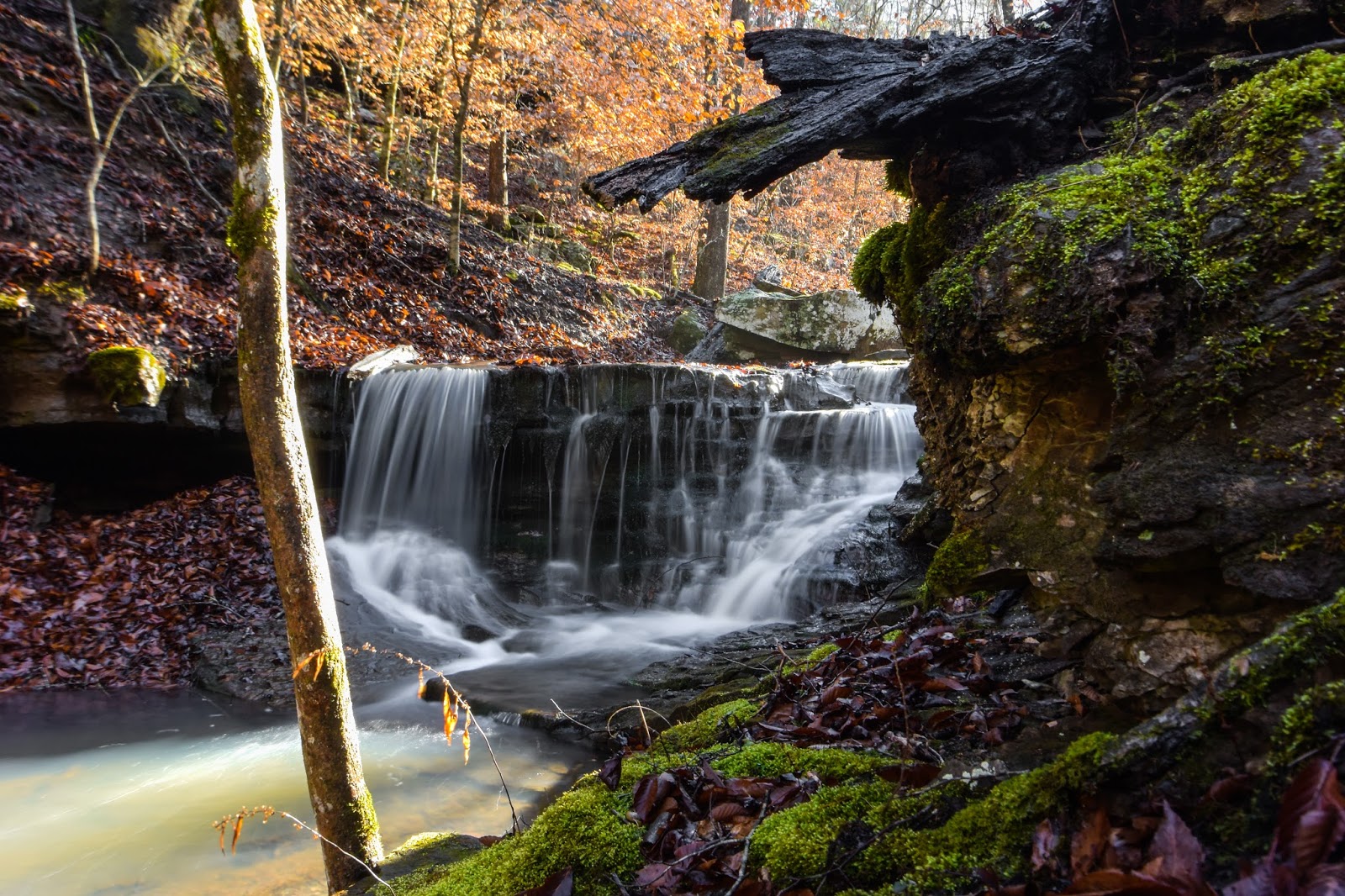 Stepp Creek Junction Falls - Arkansas Waterfalls